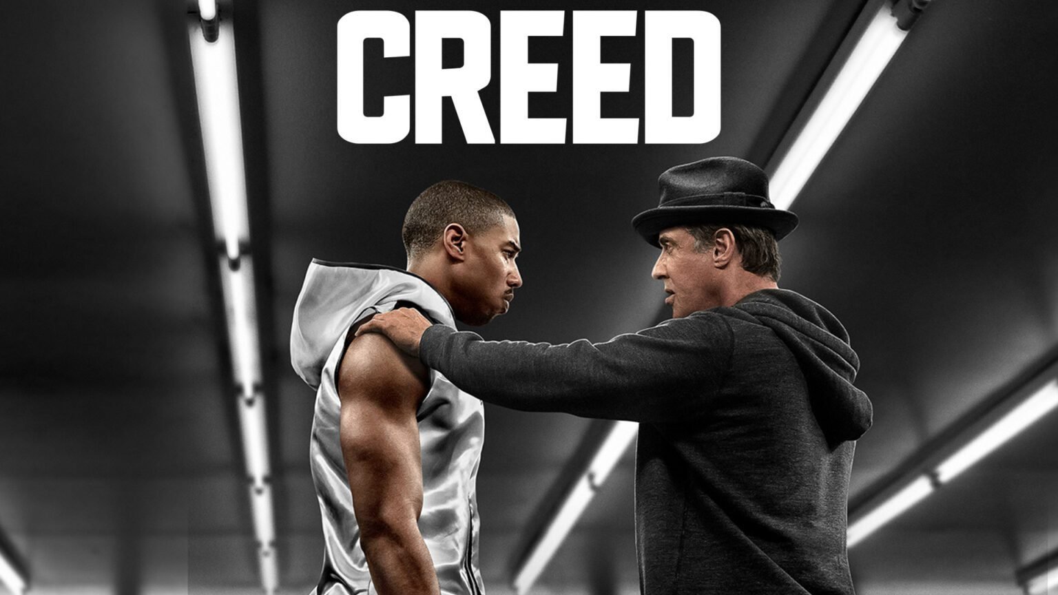 Creed 4 Confirmado: Tudo o que sabemos até agora sobre o novo filme da ...